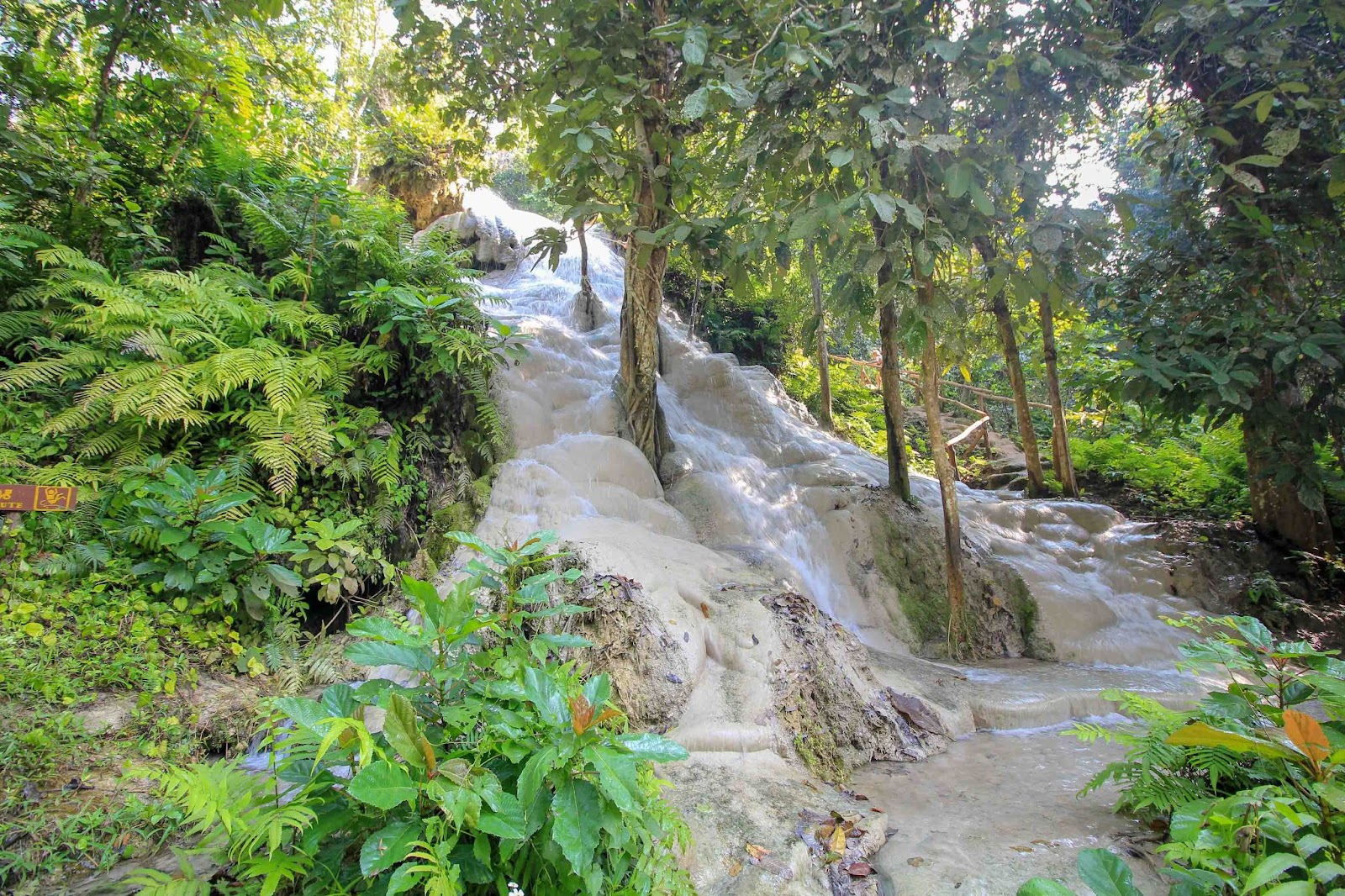 A Comprehensive Guide on the Bua Tong Sticky Waterfall